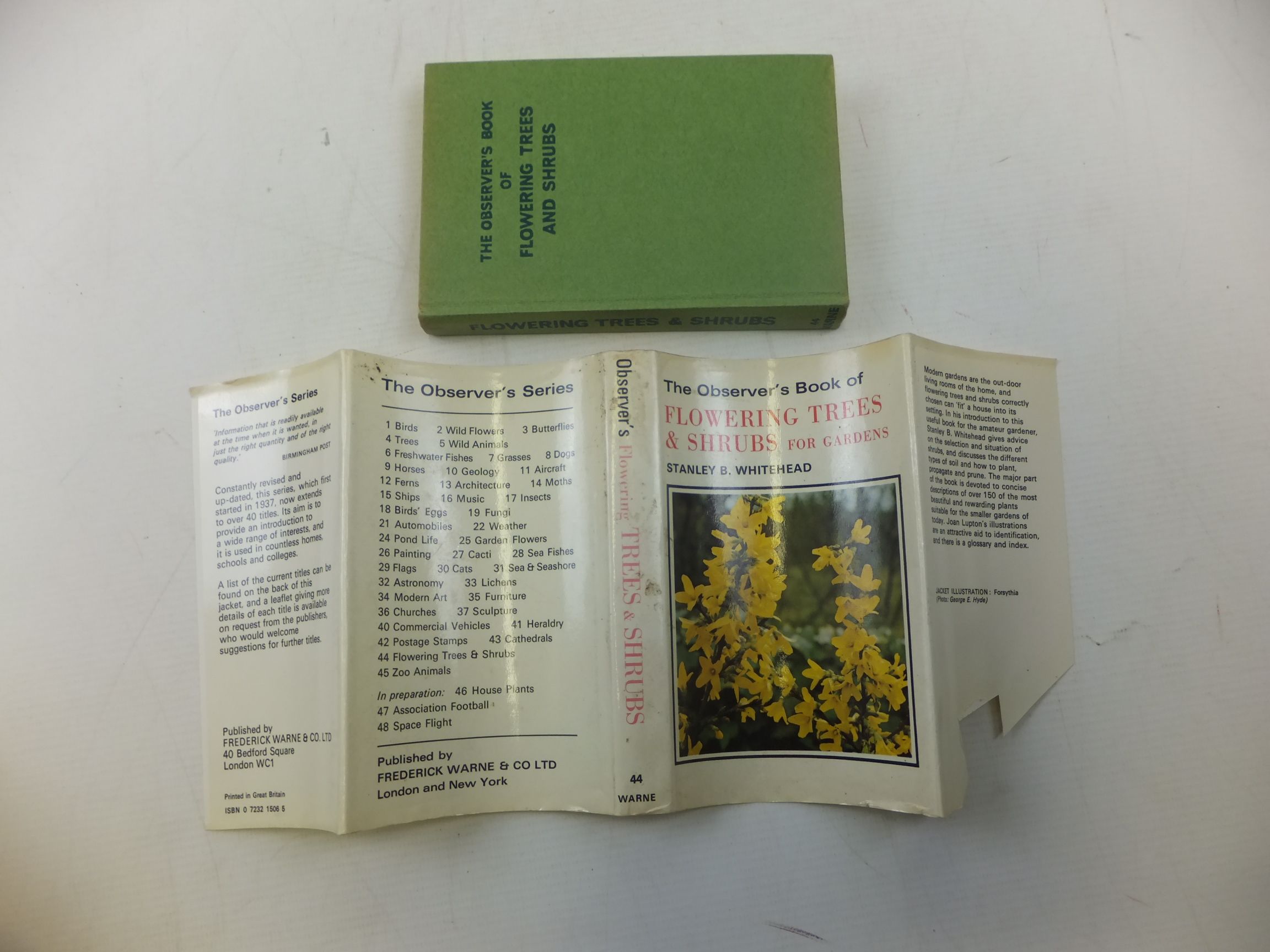 Stella & Rose's Books