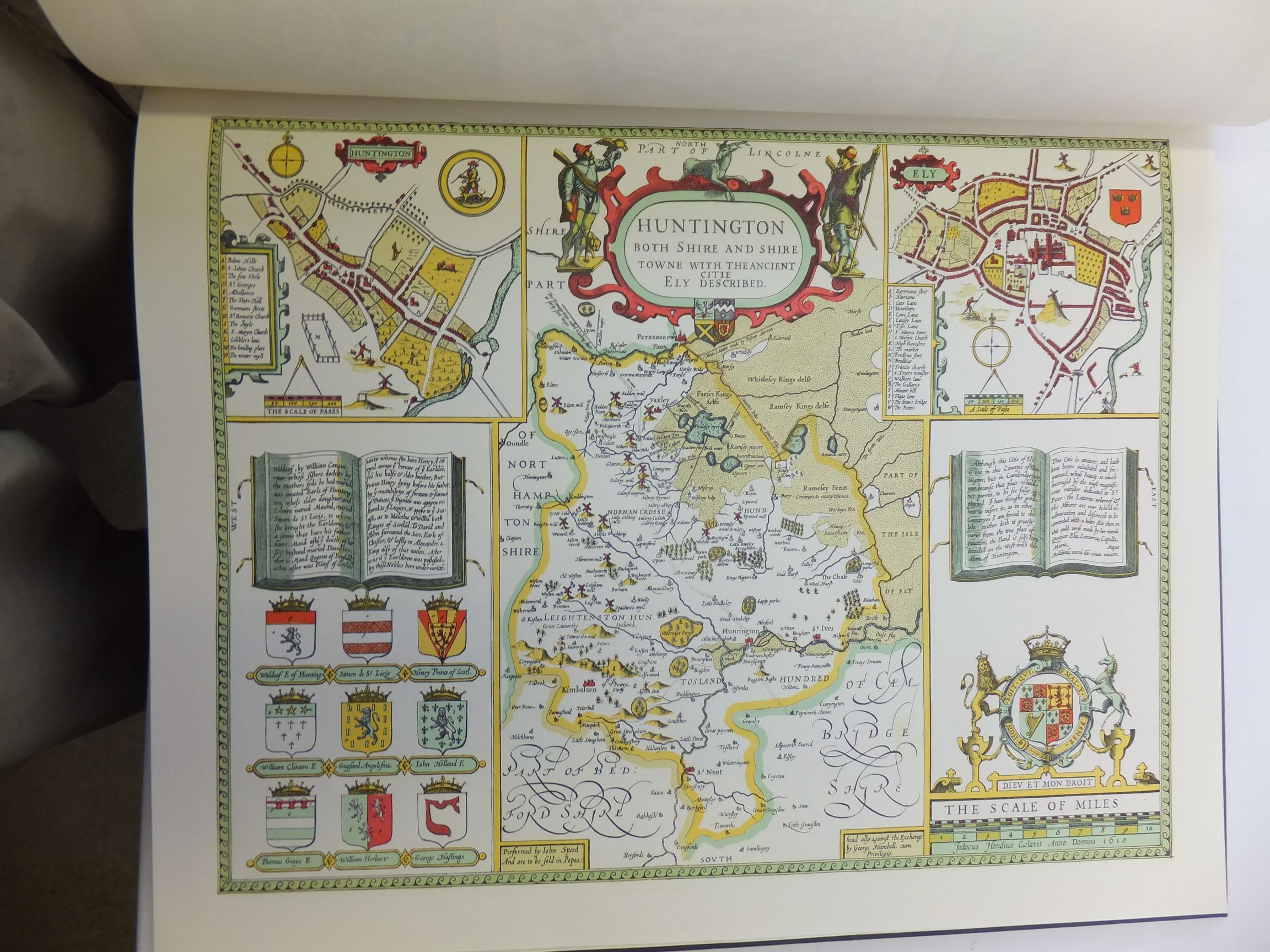 Stella & Rose's Books