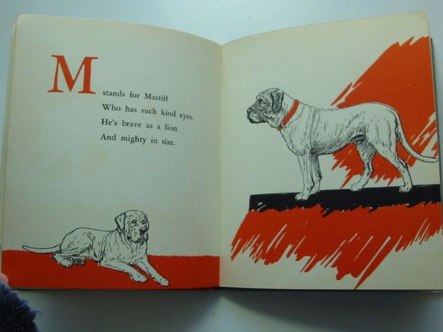 Stella & Rose's Books