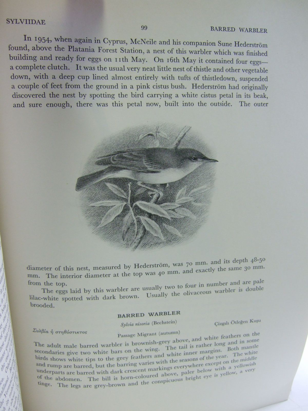 Stella & Rose's Books