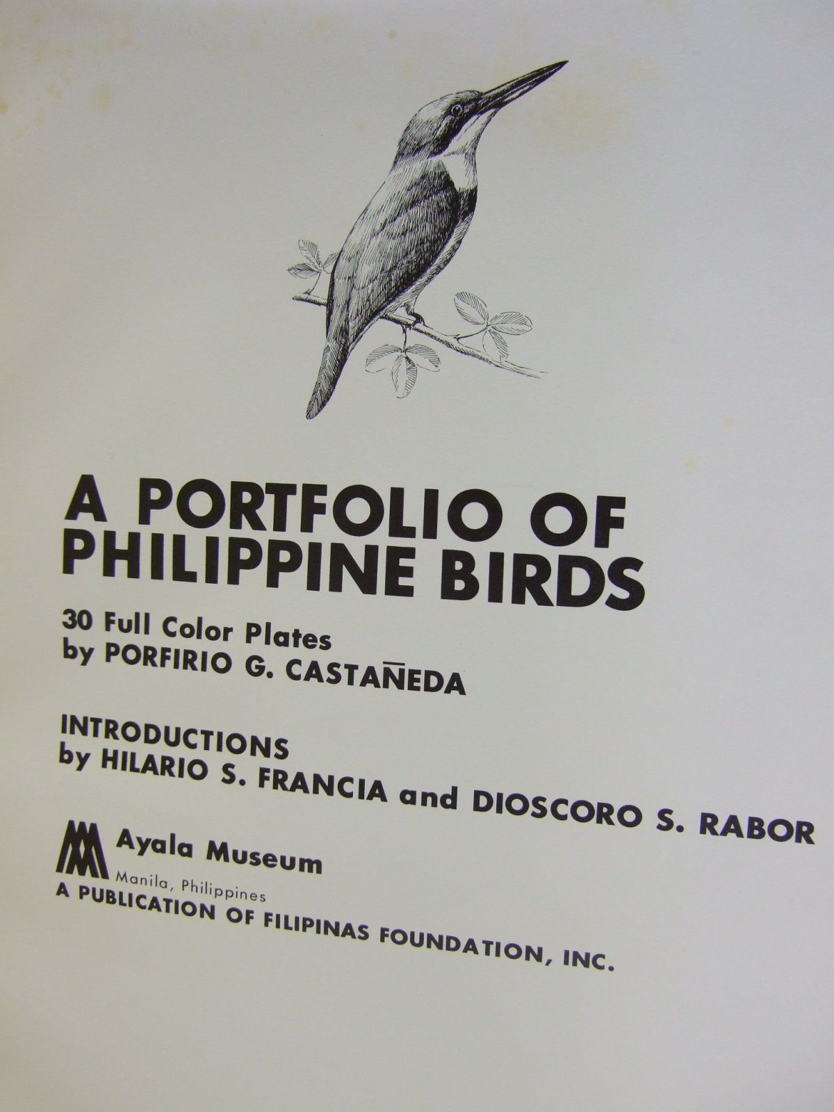 Stella & Rose's Books