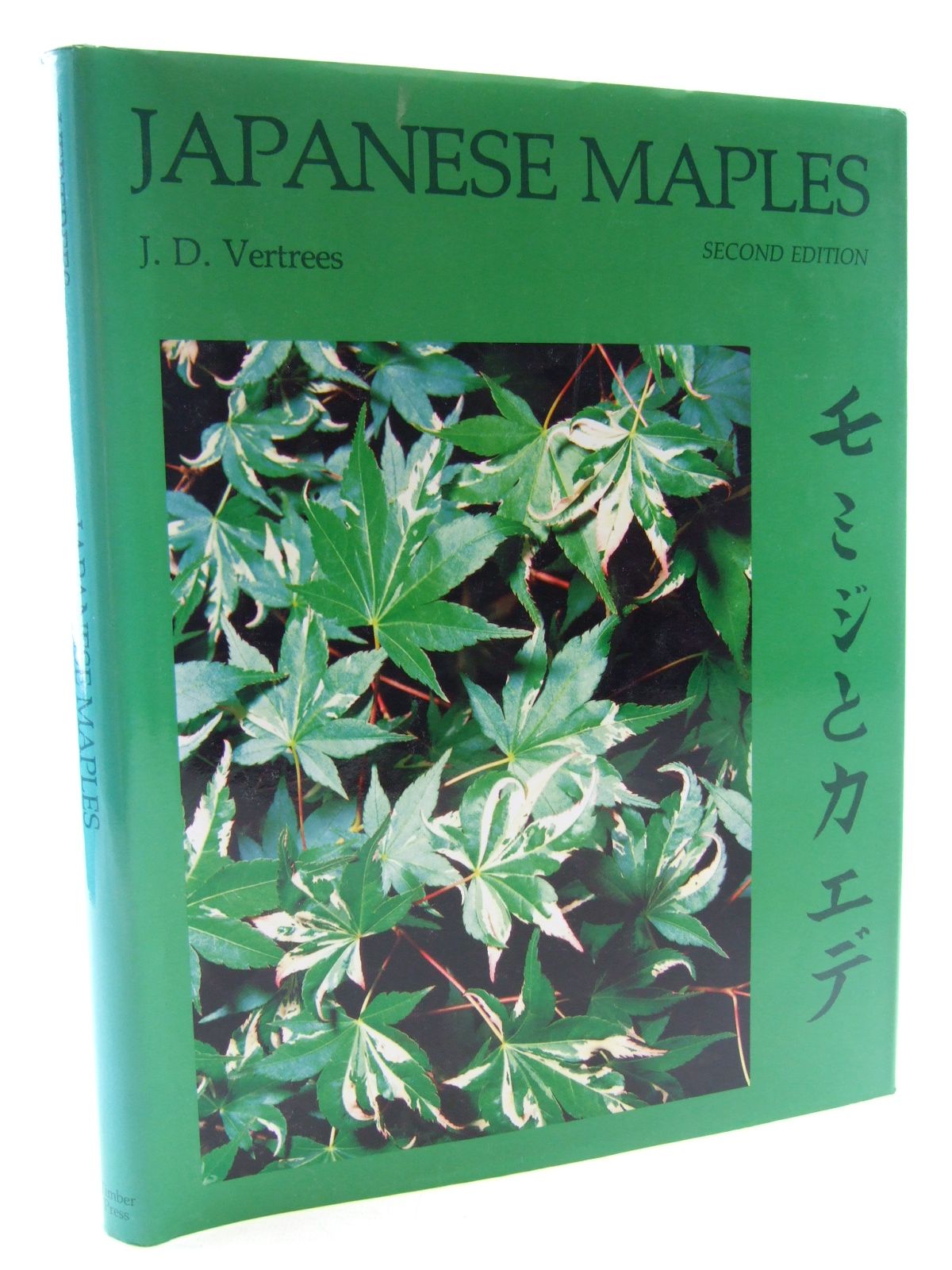 Stella & Rose's Books