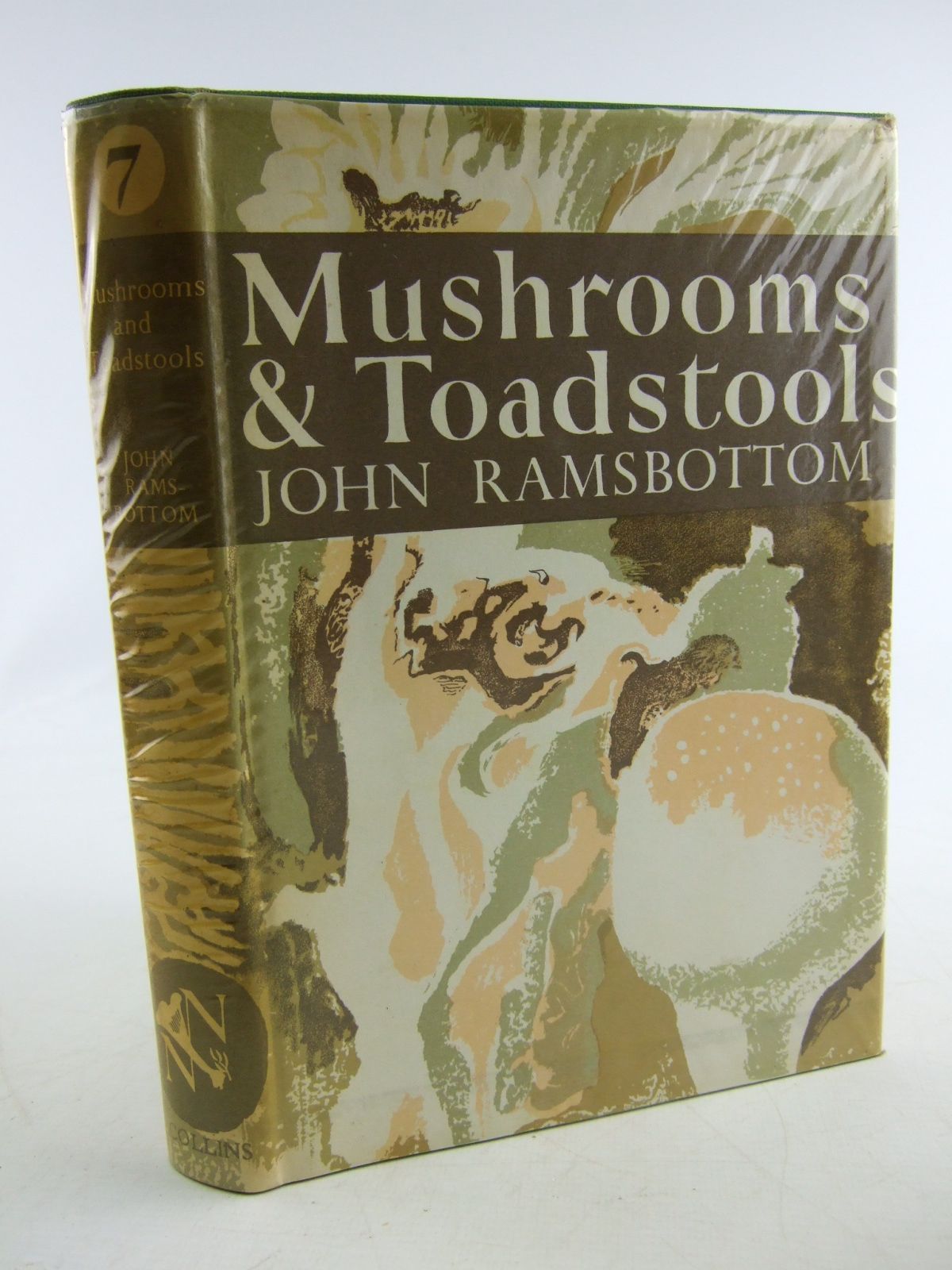 Stella & Rose's Books