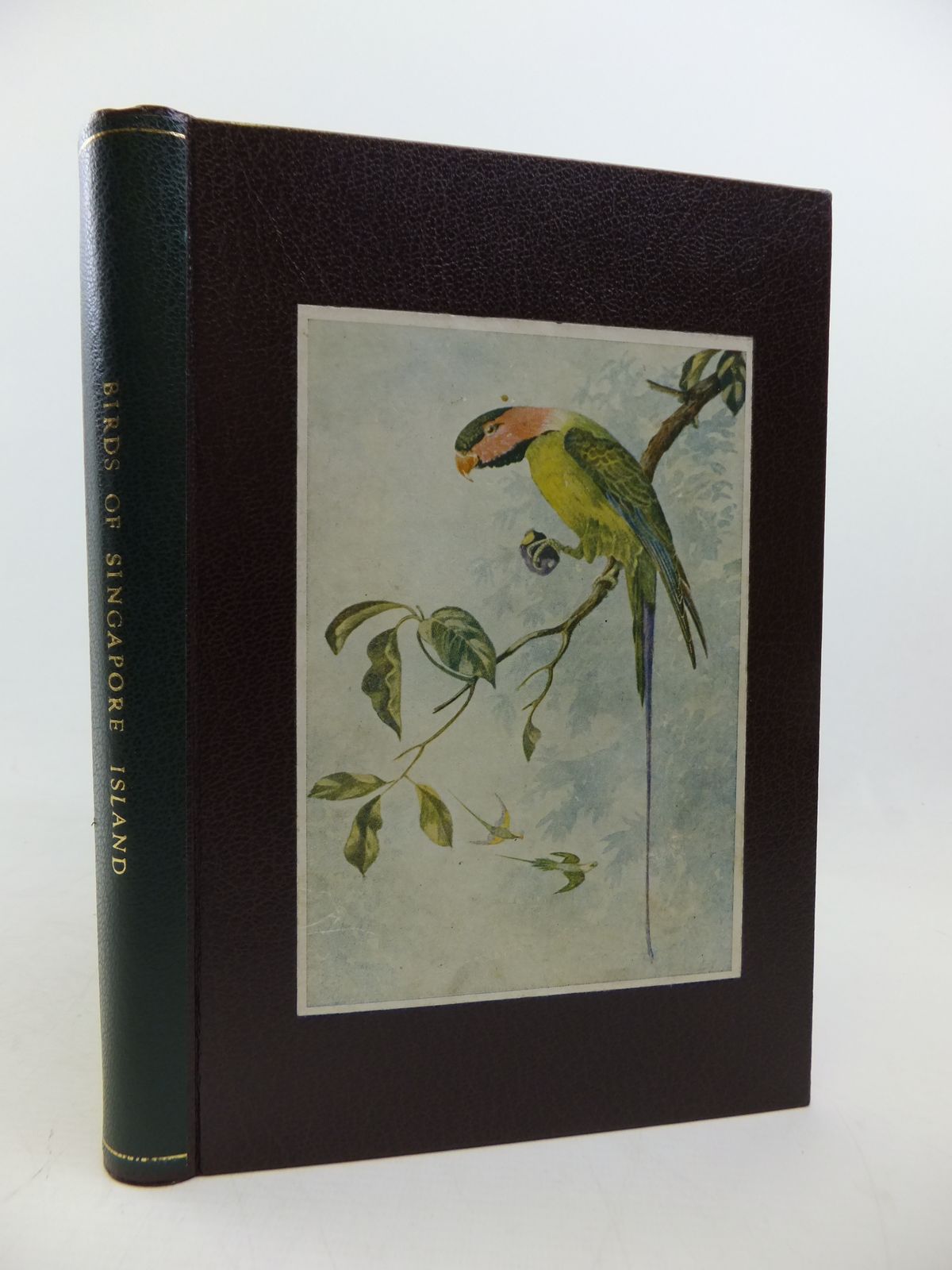 Stella & Rose's Books