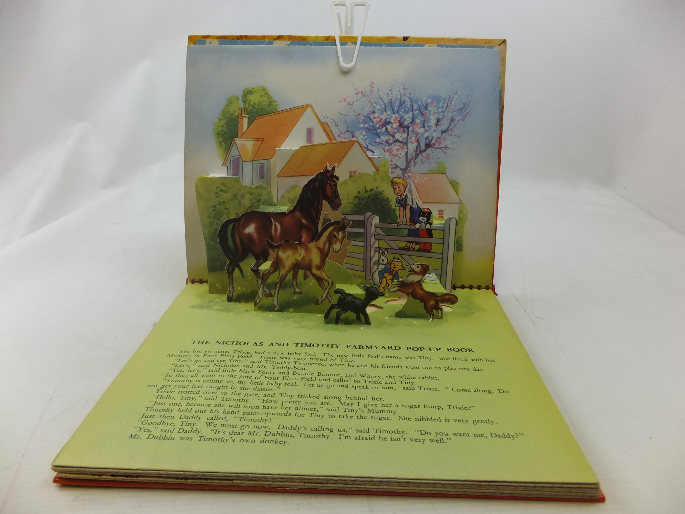 Stella & Rose's Books