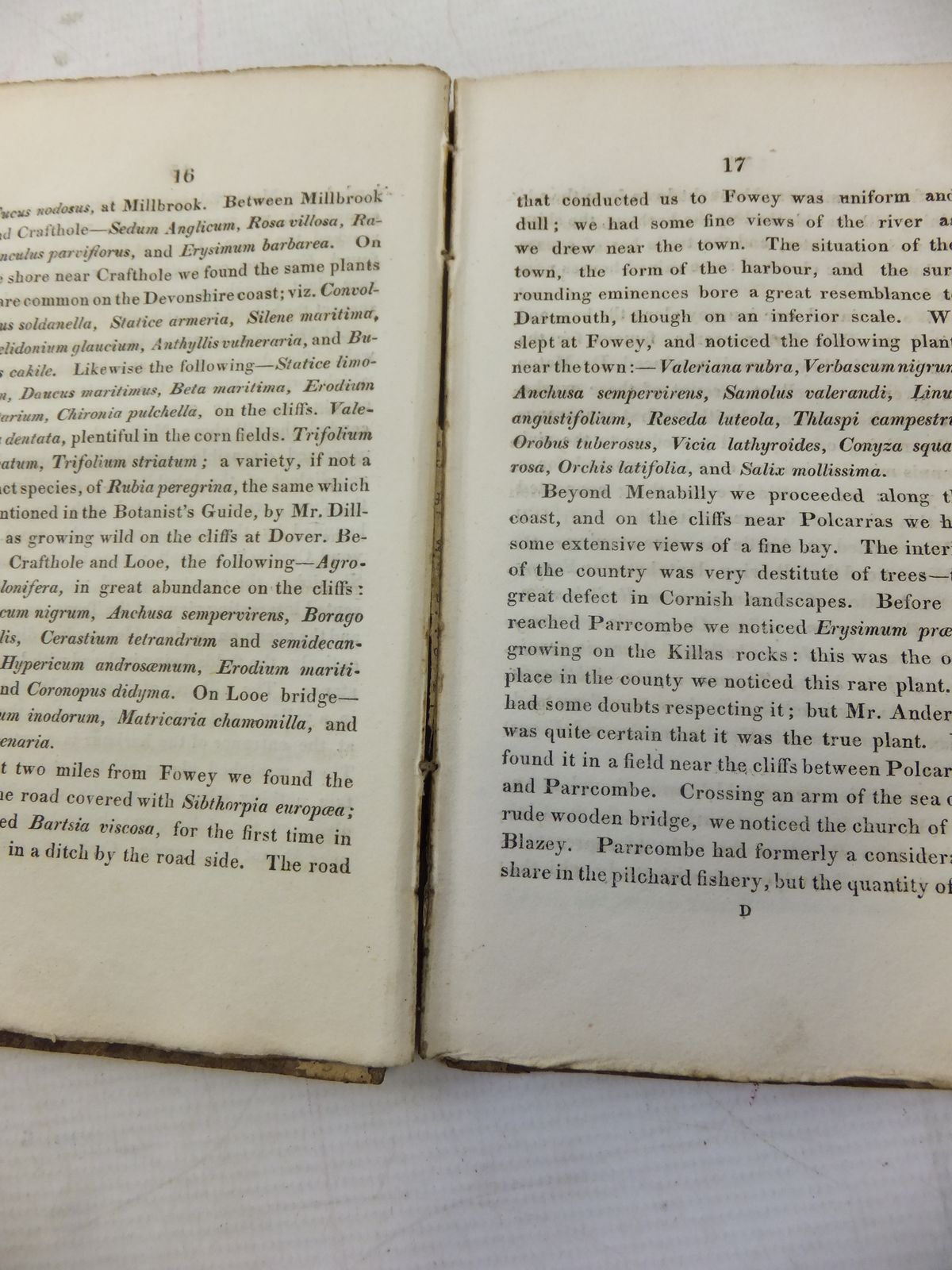 Stella & Rose's Books