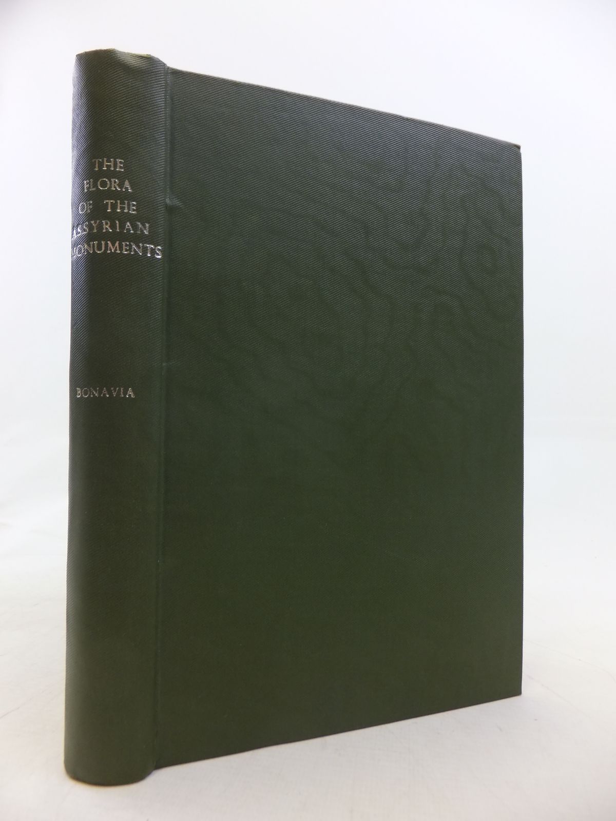 Stella & Rose's Books