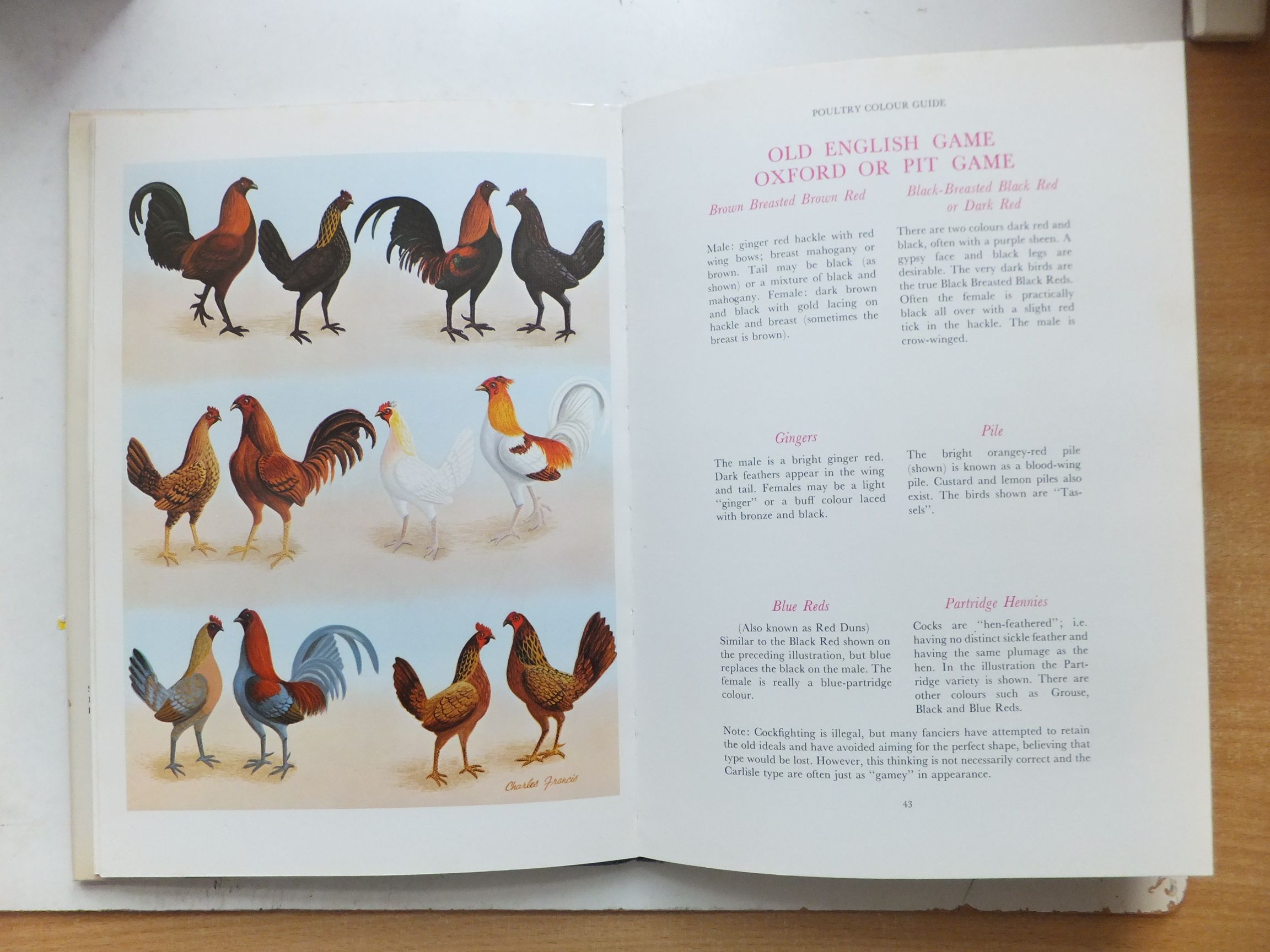 Stella & Rose's Books