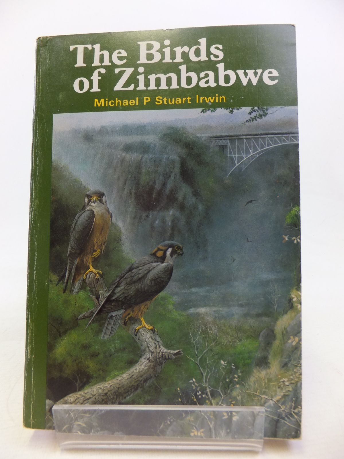 Stella & Rose's Books