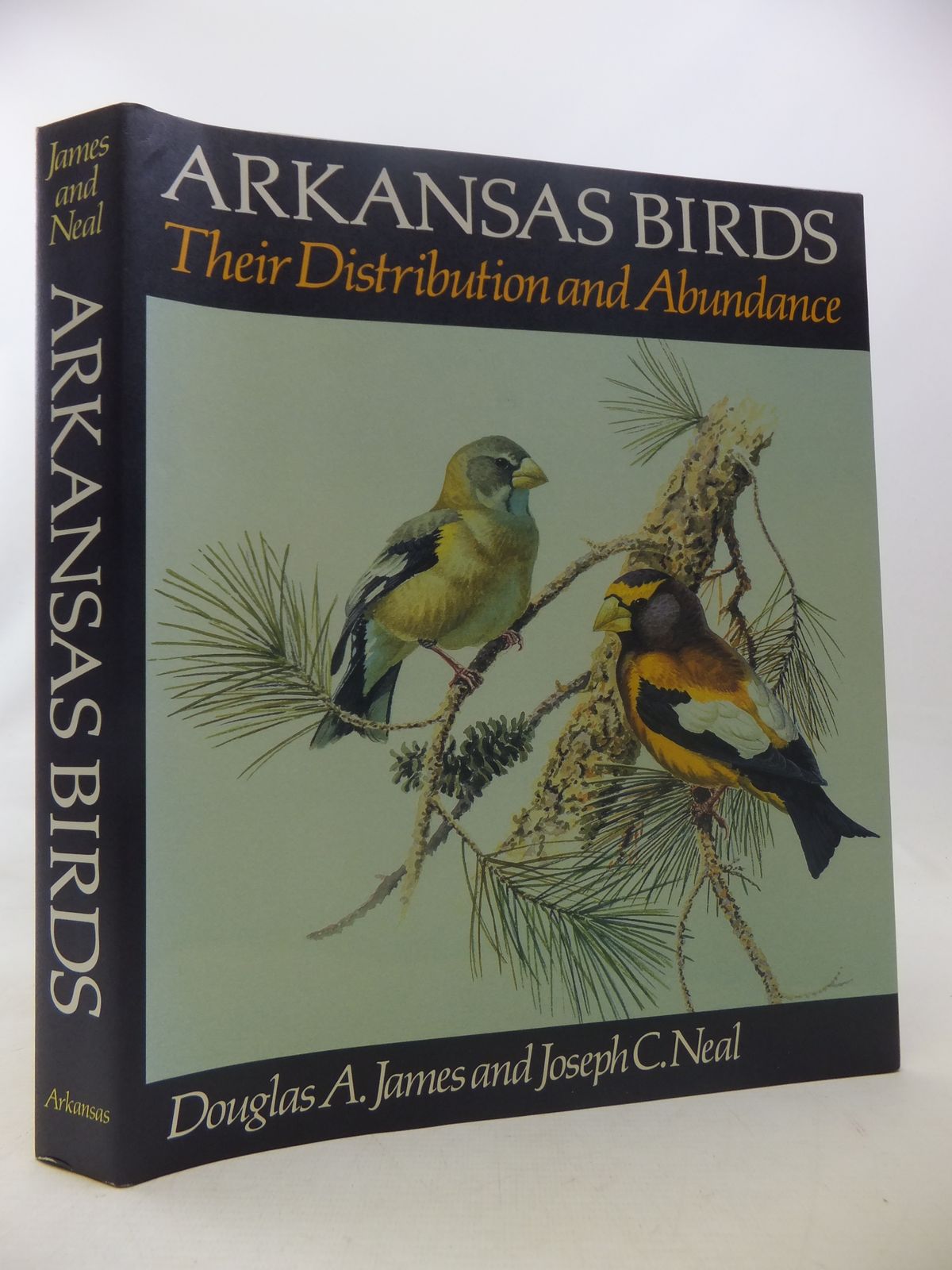 Stella & Rose's Books