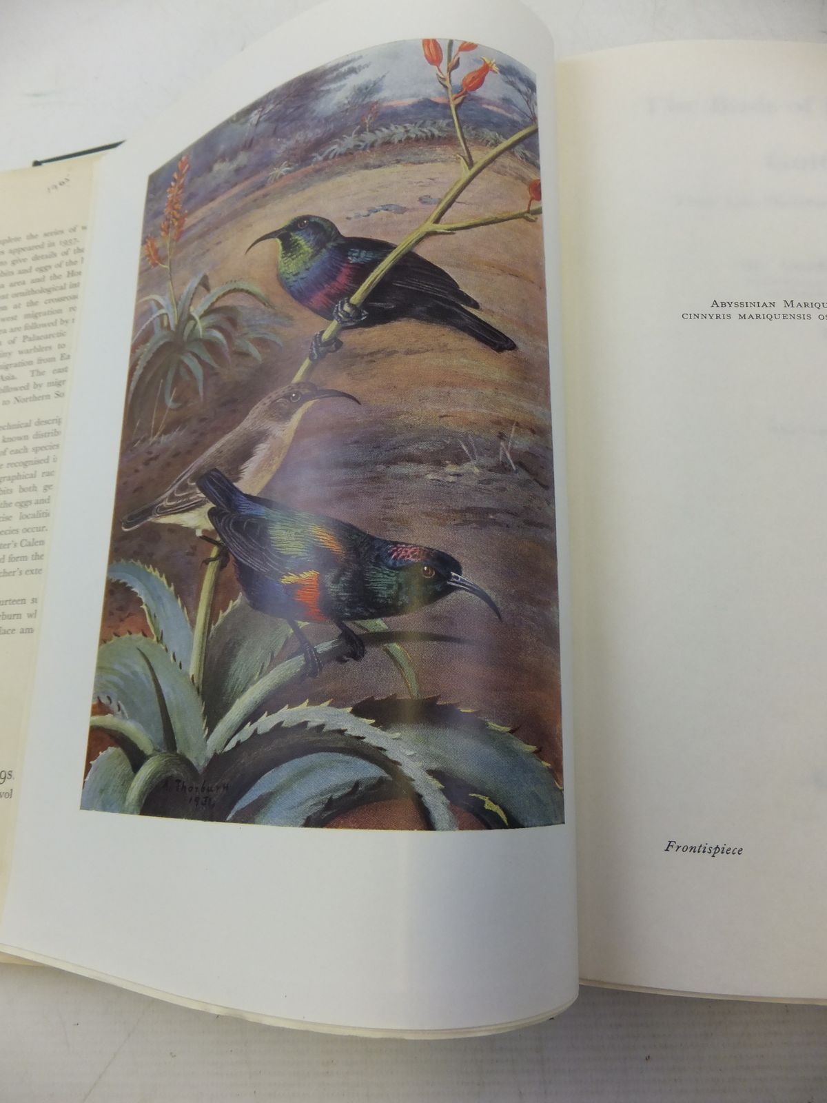 Stella & Rose's Books