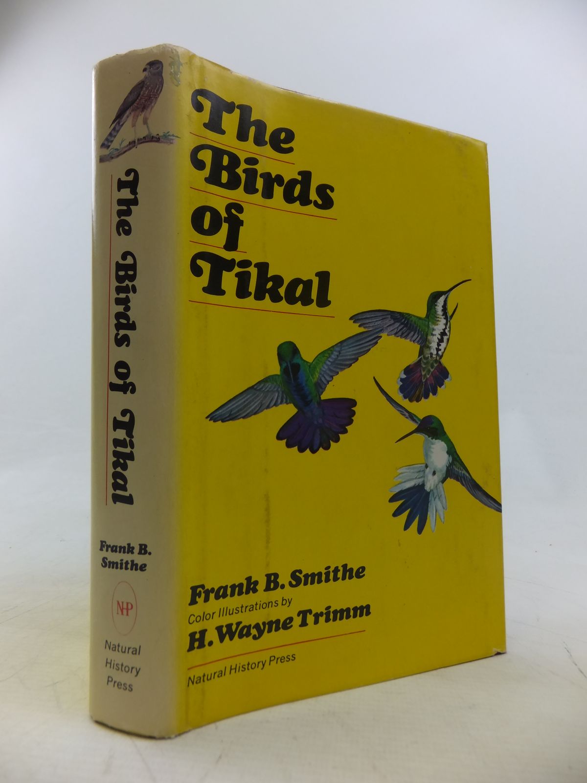 Stella & Rose's Books