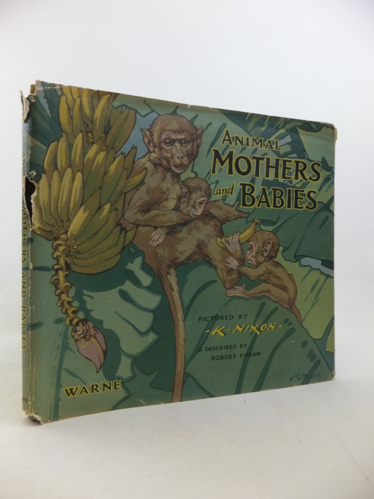 Baby Animals And Their Mothers Book at Olga Patrick blog