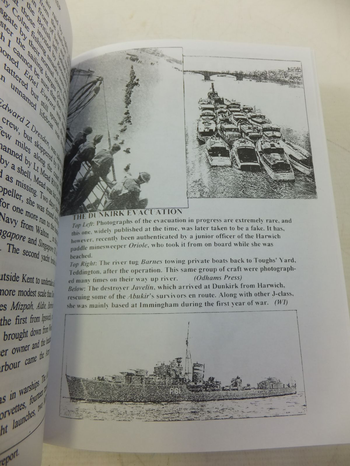 Stella & Rose's Books