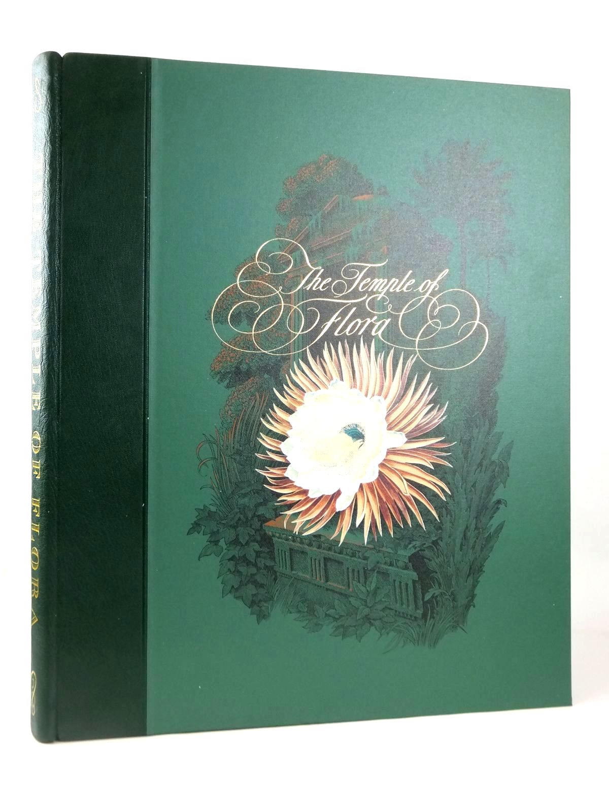 Stella & Rose's Books