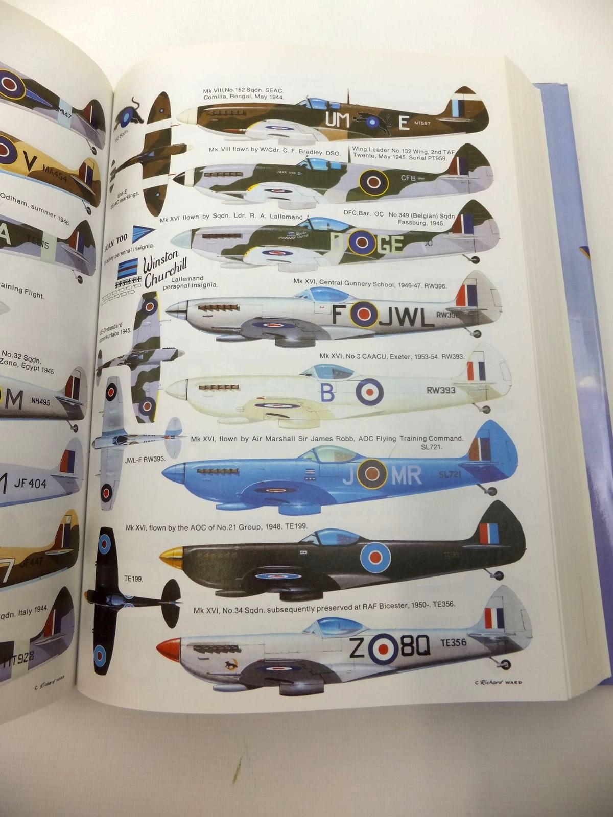 Stella & Rose's Books