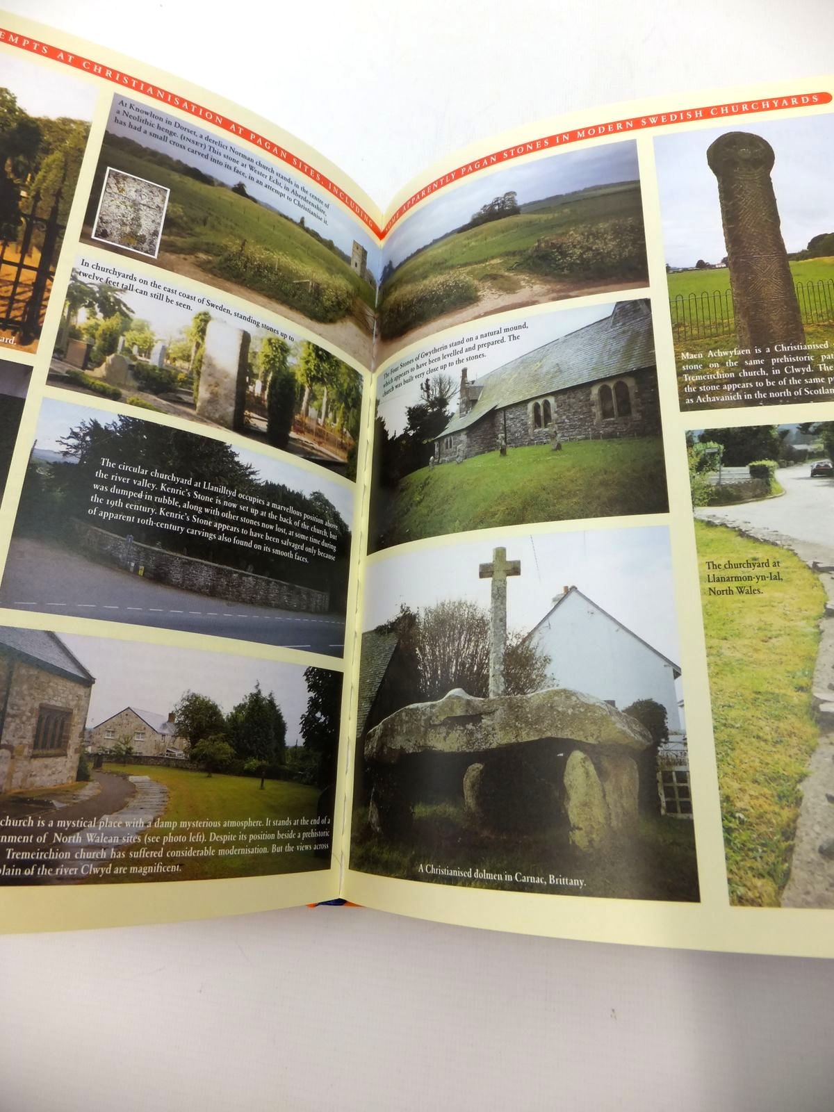 Stella & Rose's Books