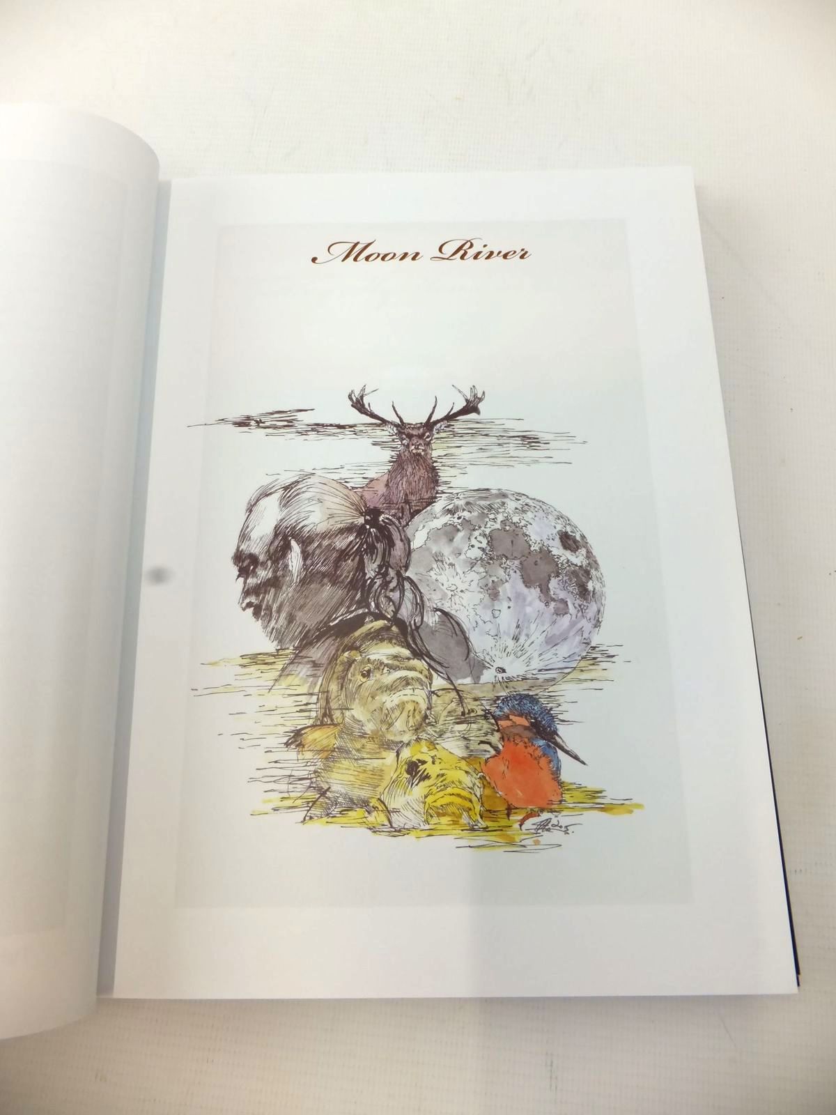 Stella & Rose's Books