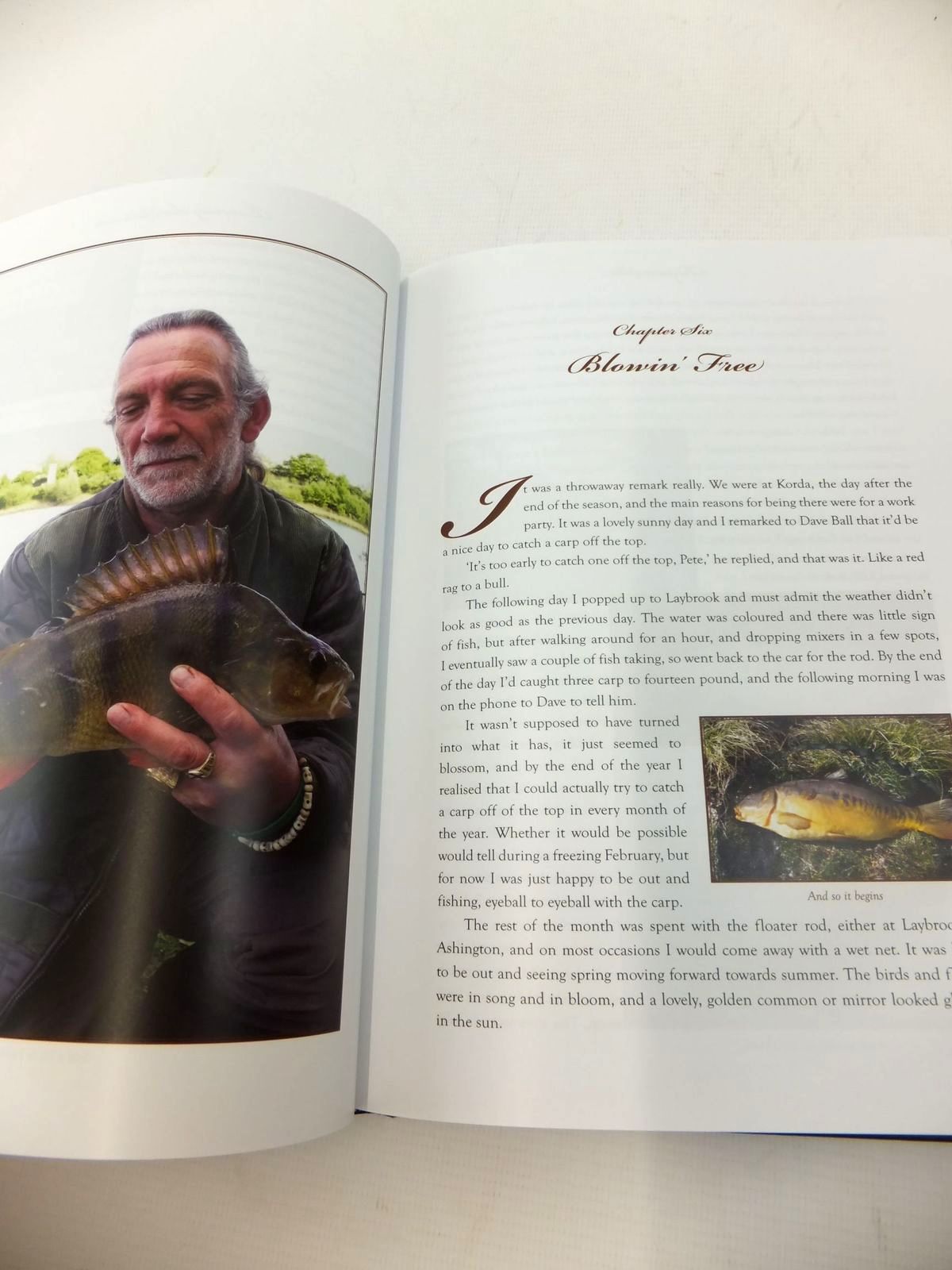 Stella & Rose's Books