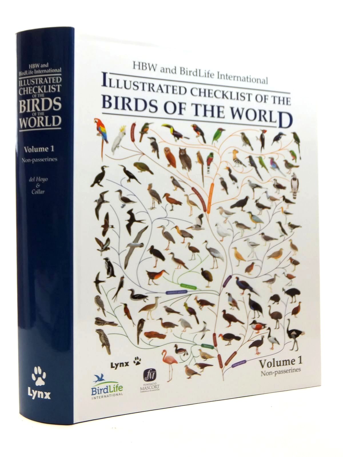 Stella & Rose's Books