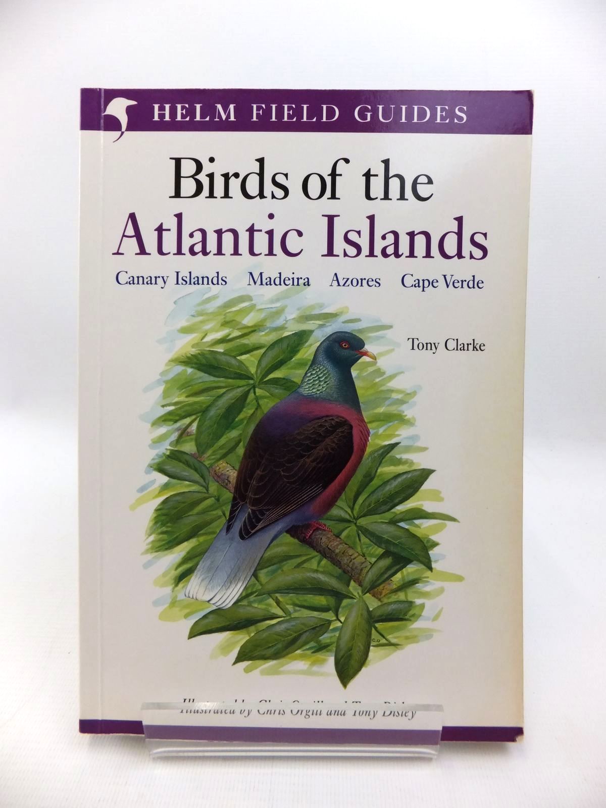 Stella & Rose's Books