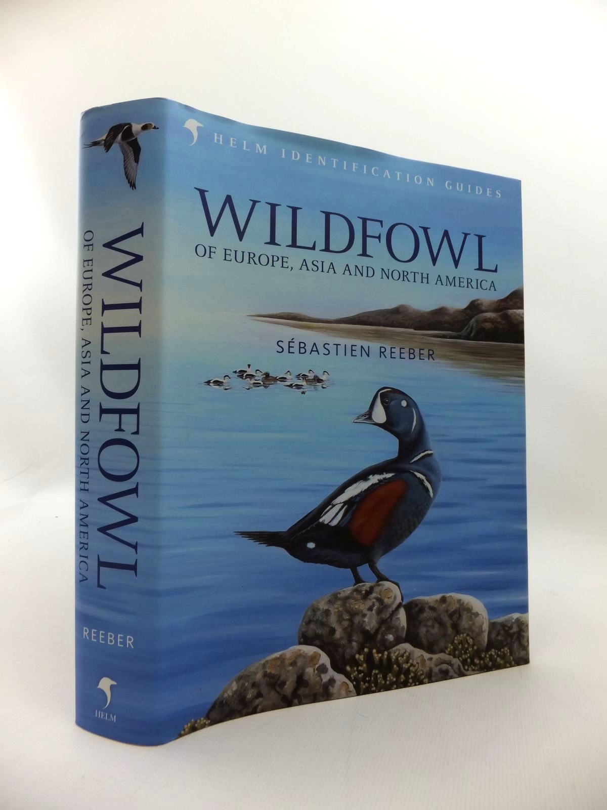 Stella & Rose's Books