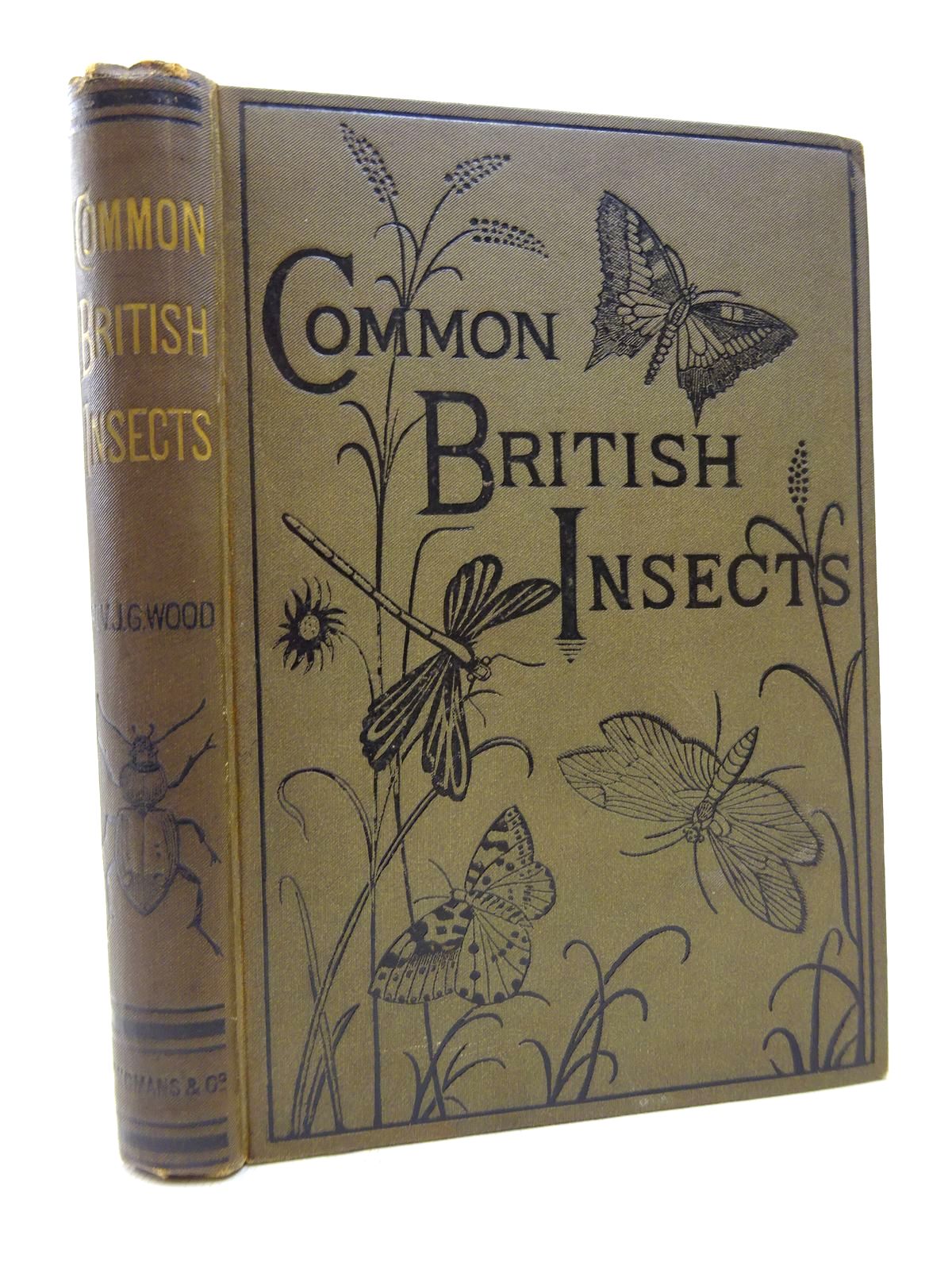 Stella & Rose's Books