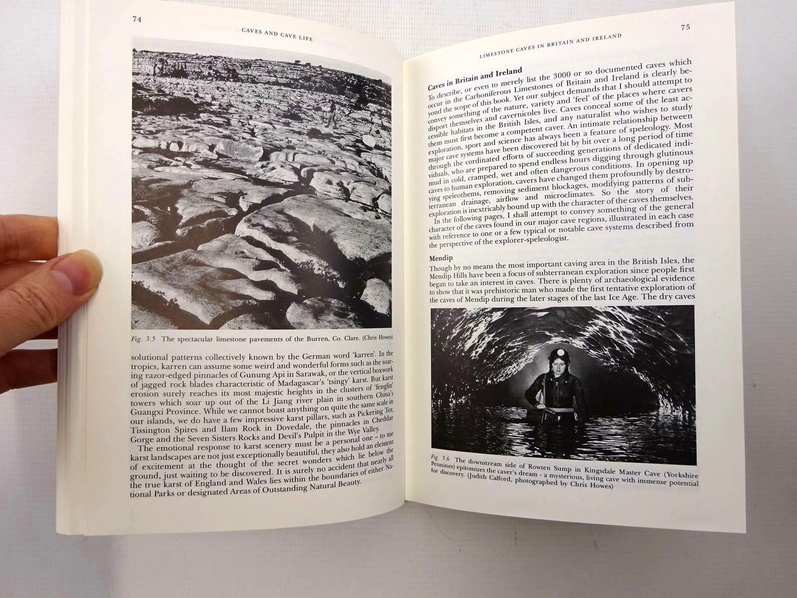 Stella & Rose's Books