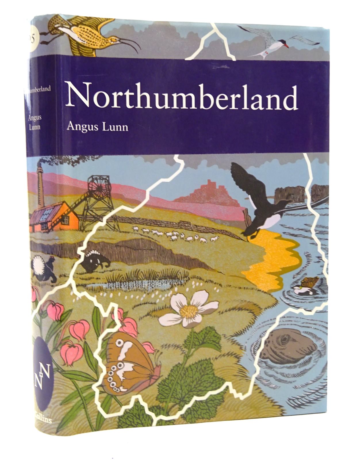 Stella & Rose's Books