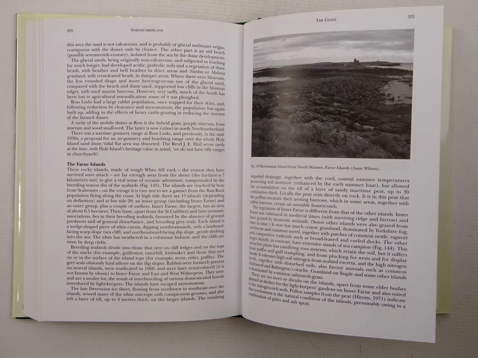 Stella & Rose's Books