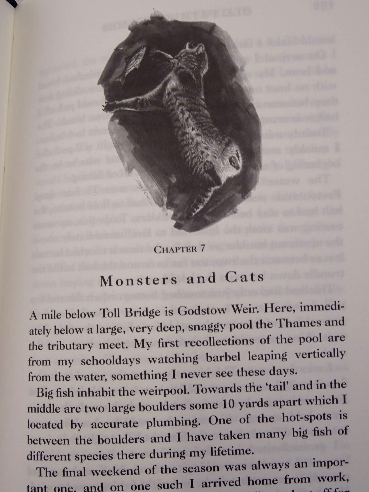 Stella & Rose's Books