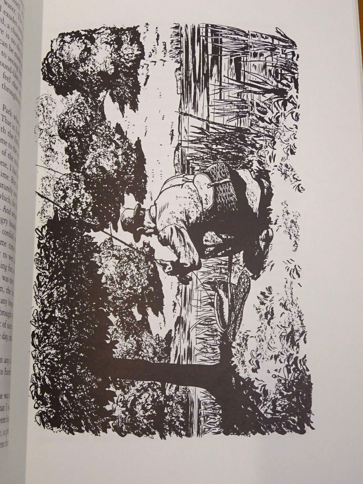 Stella & Rose's Books