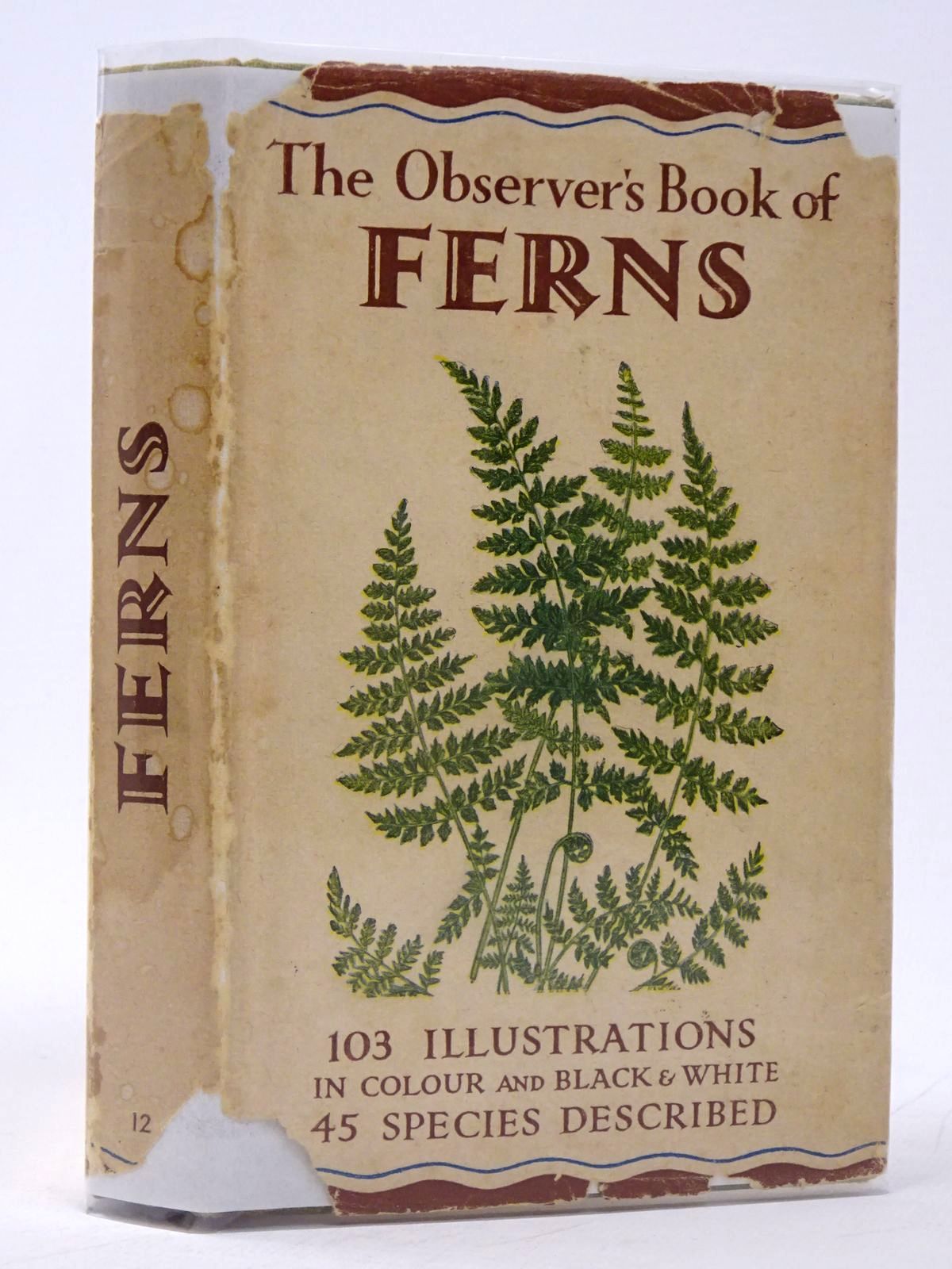 Stella & Rose's Books