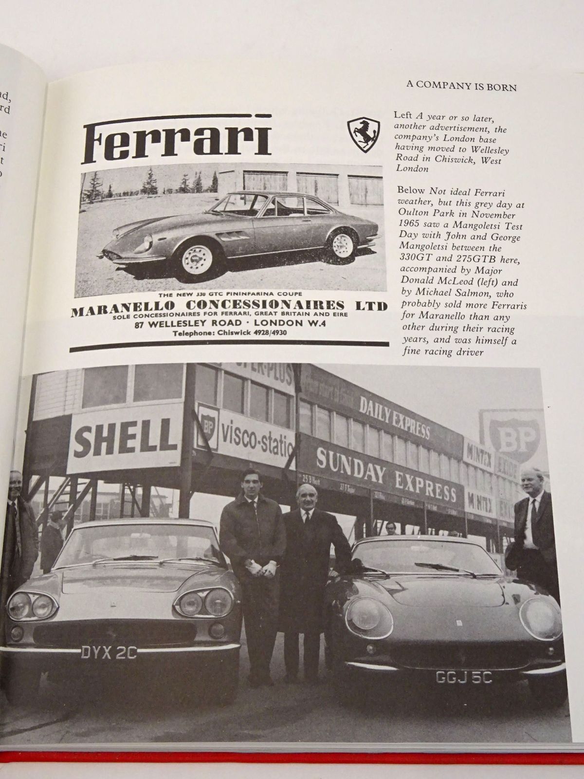 Stella & Rose's Books