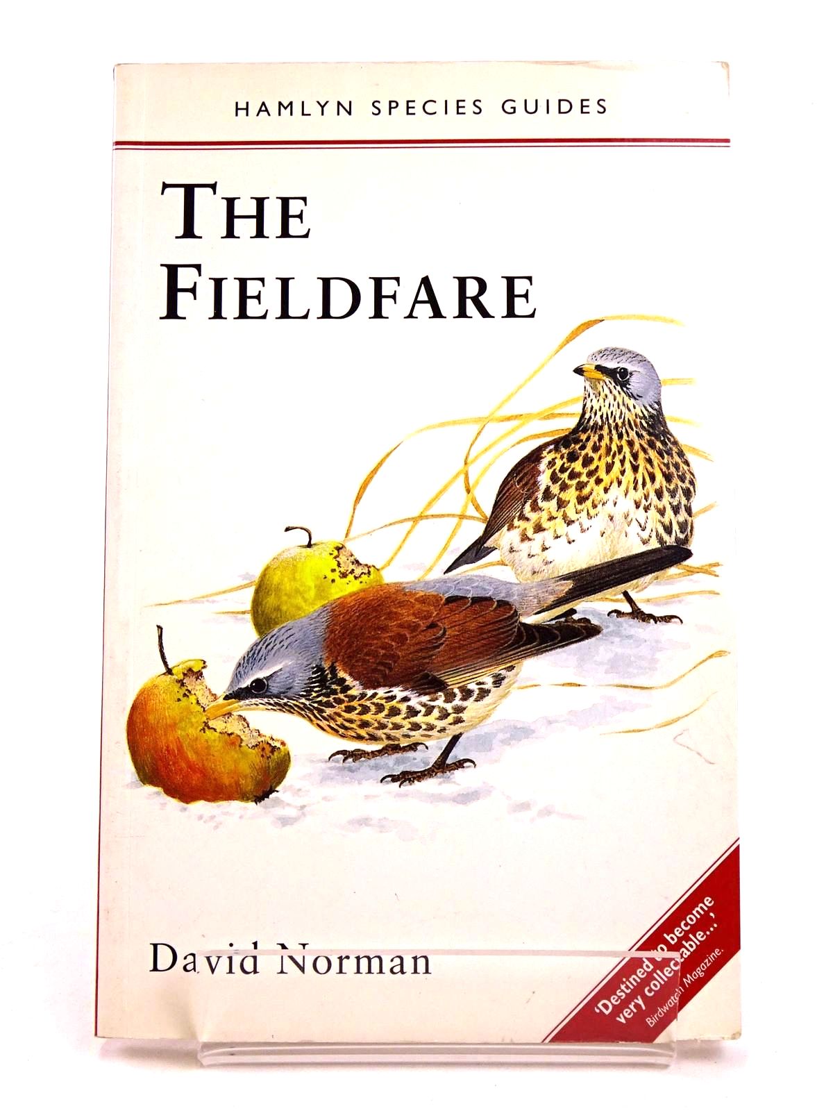 Stella & Rose's Books