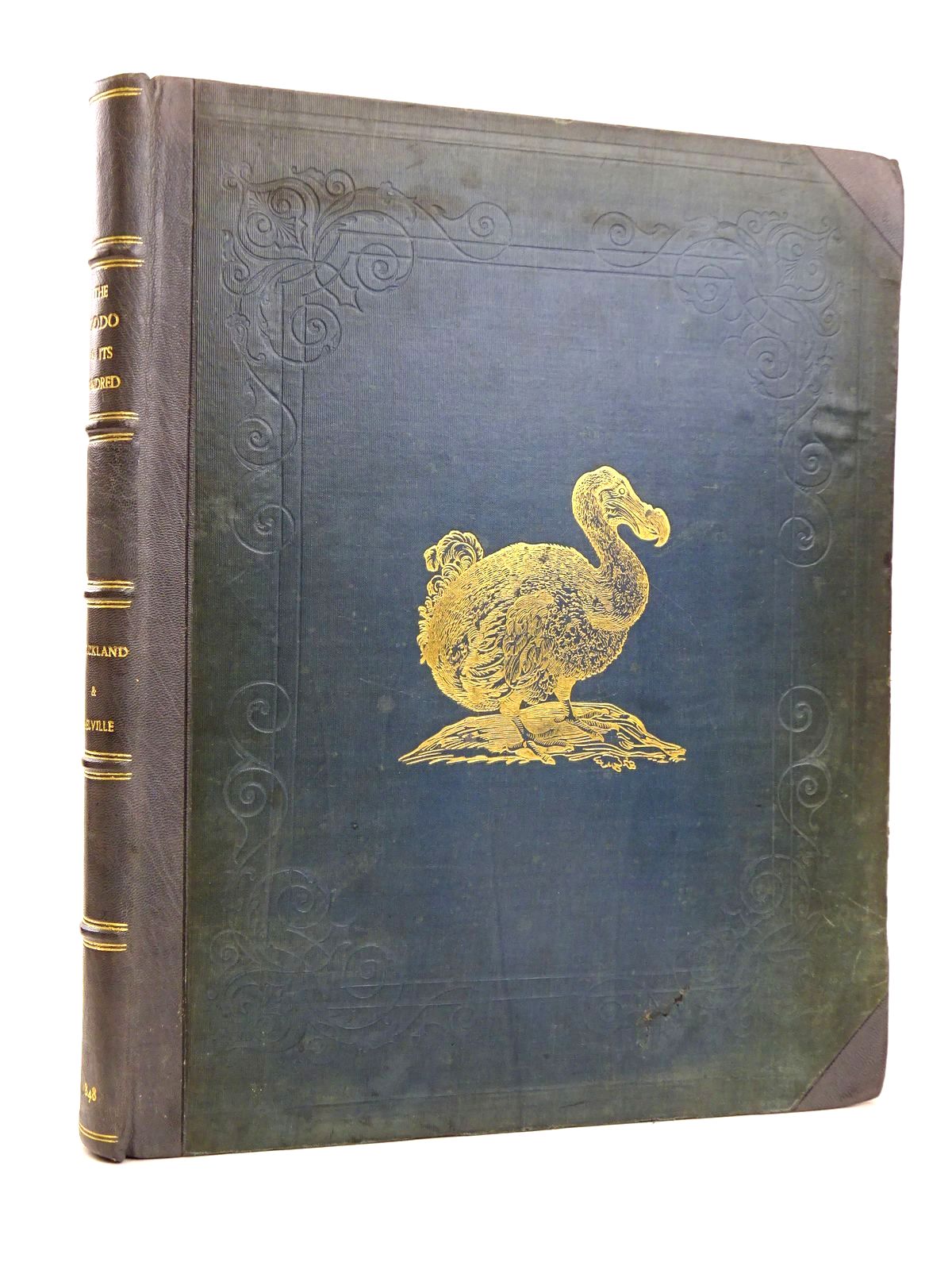 Stella & Rose's Books