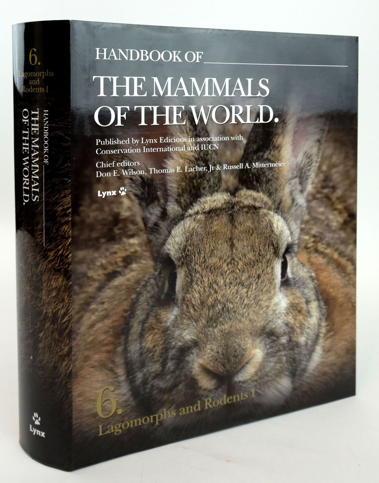 Stella & Rose's Books