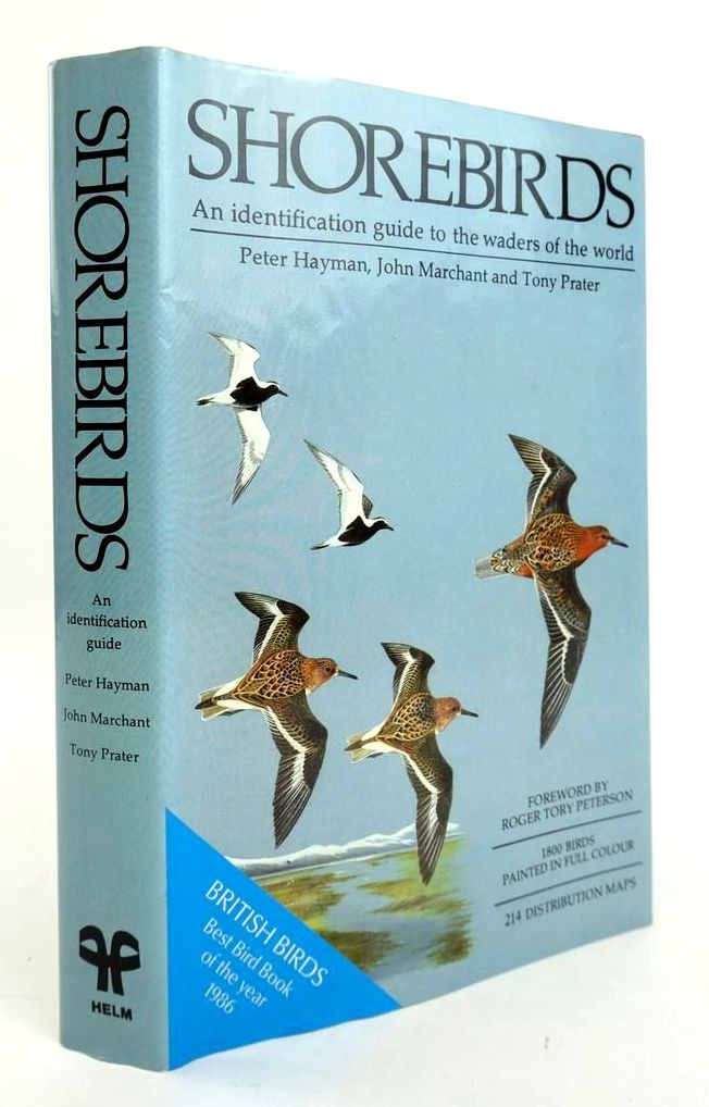 Stella & Rose's Books