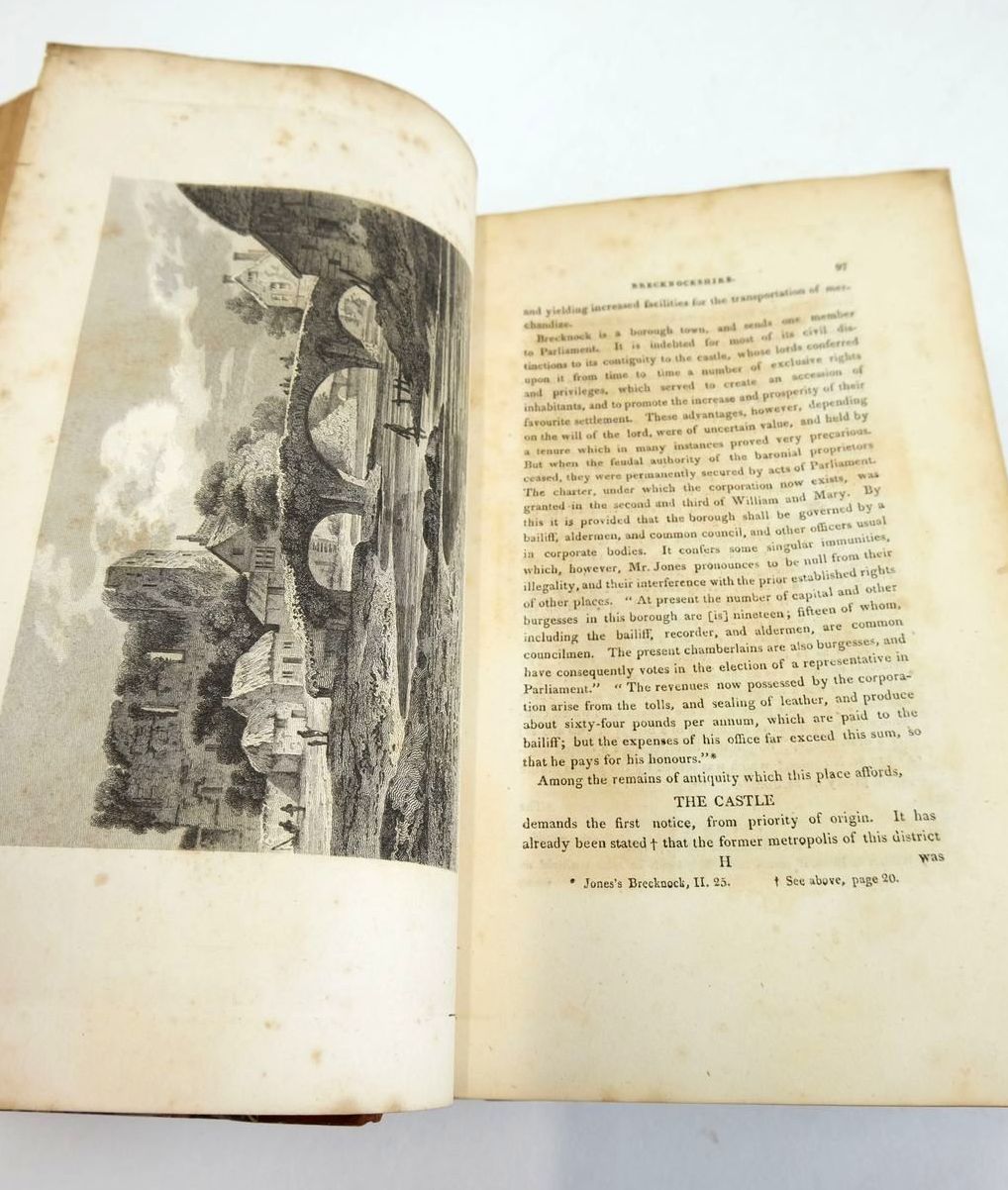 Stella & Rose's Books