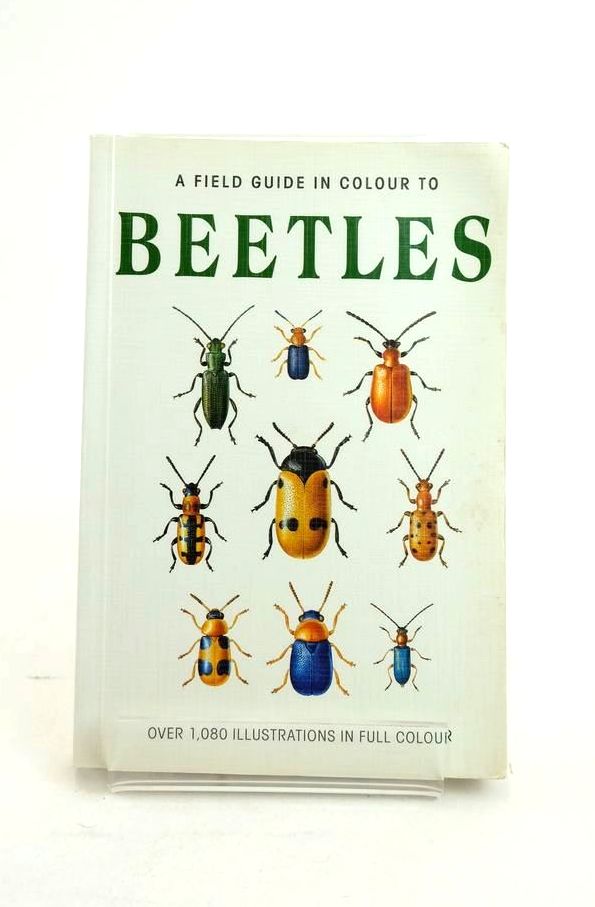 Stella & Rose's Books