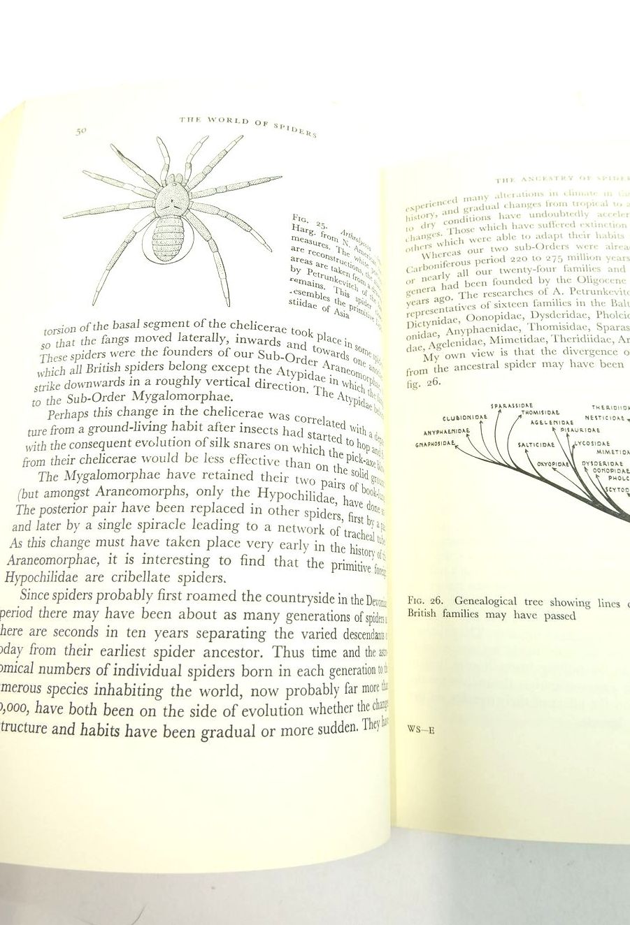 Stella & Rose's Books : THE WORLD OF SPIDERS (NN 38) Written By W.S ...