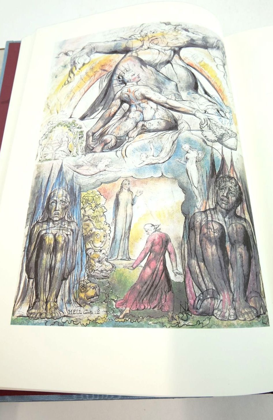 Stella & Rose's Books