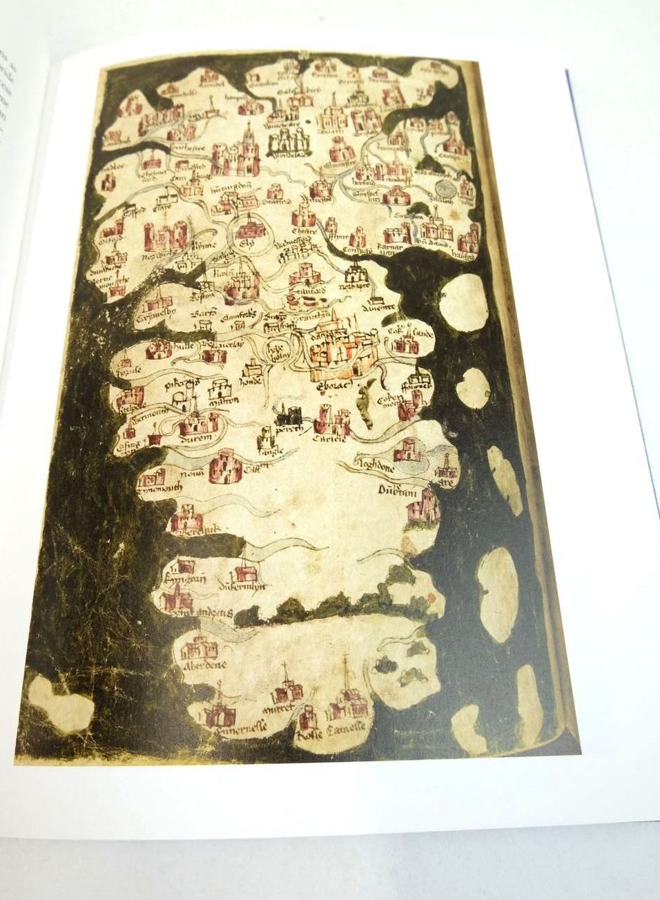 Stella & Rose's Books