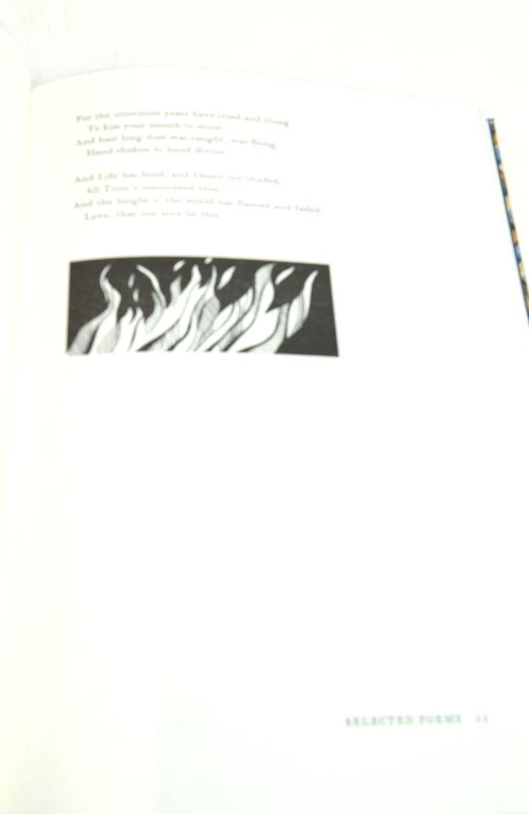 Stella & Rose's Books