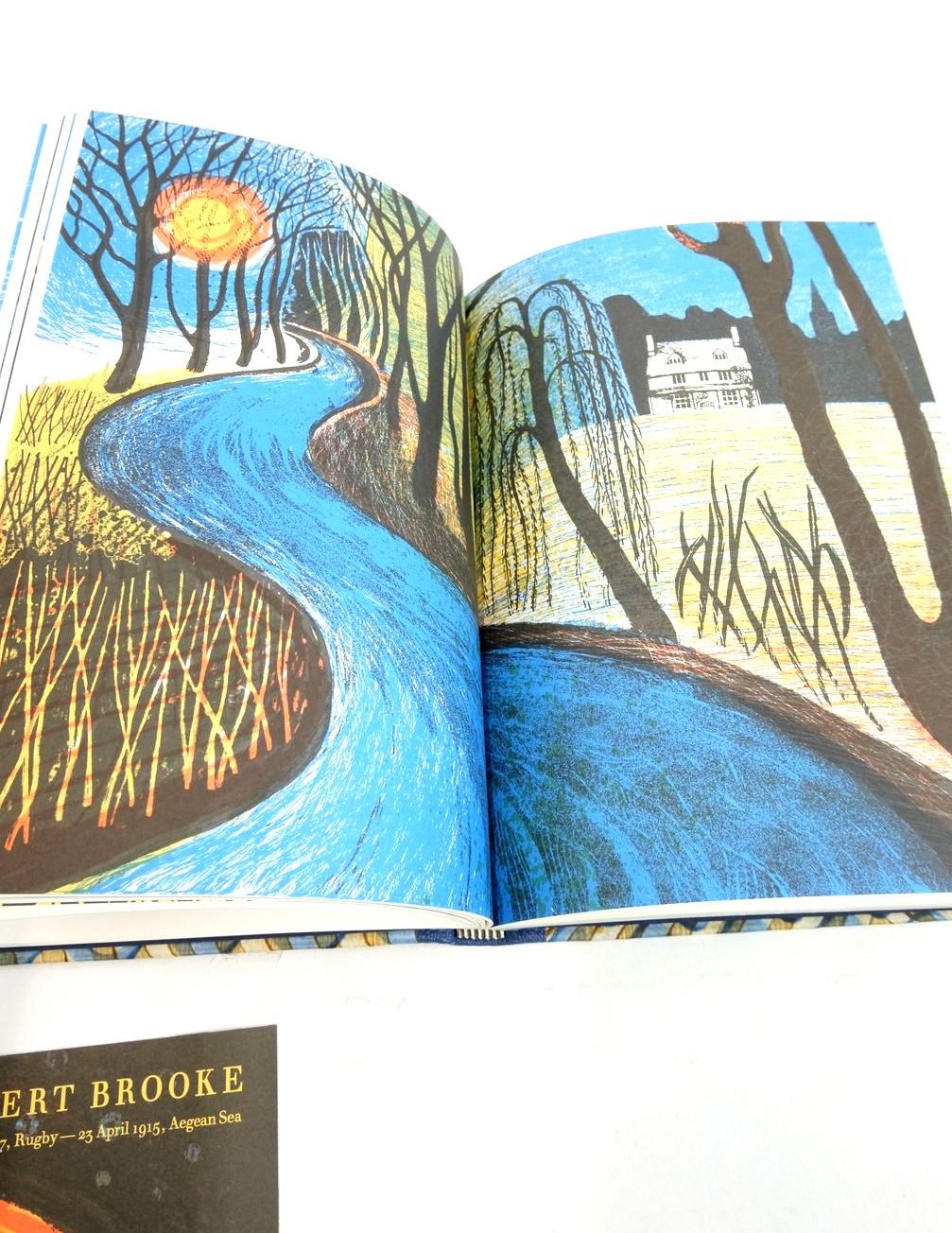 Stella & Rose's Books