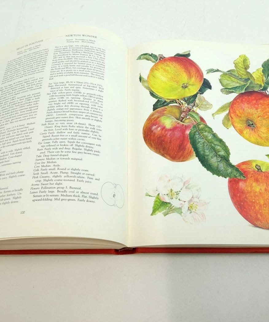 Stella & Rose's Books