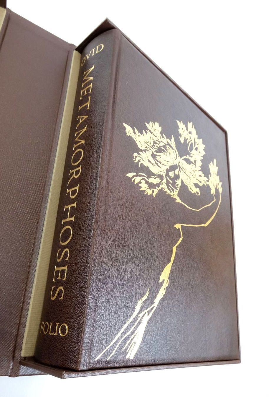 Stella & Rose's Books