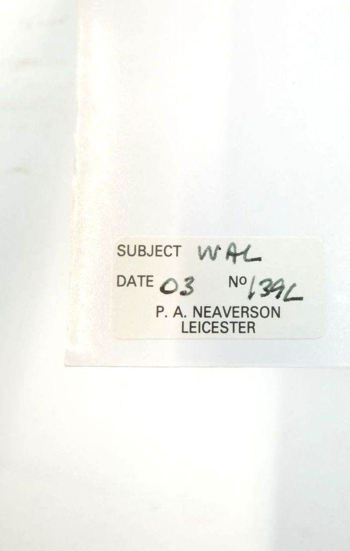 Stella & Rose's Books