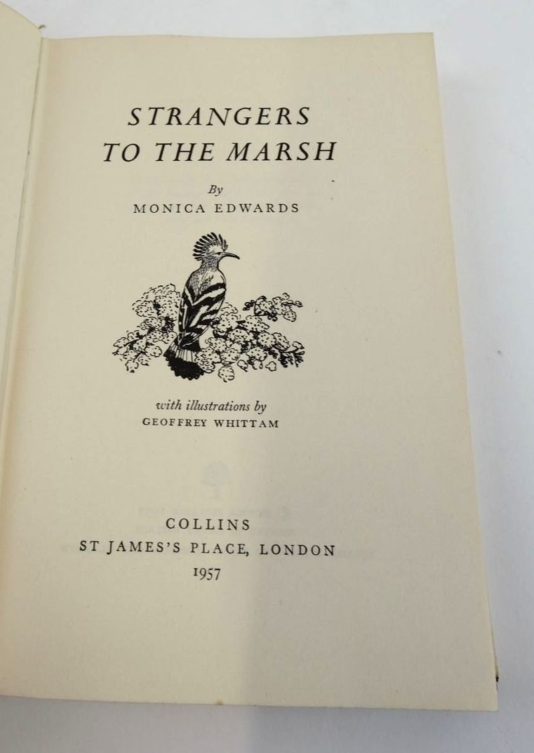 Stella & Rose's Books