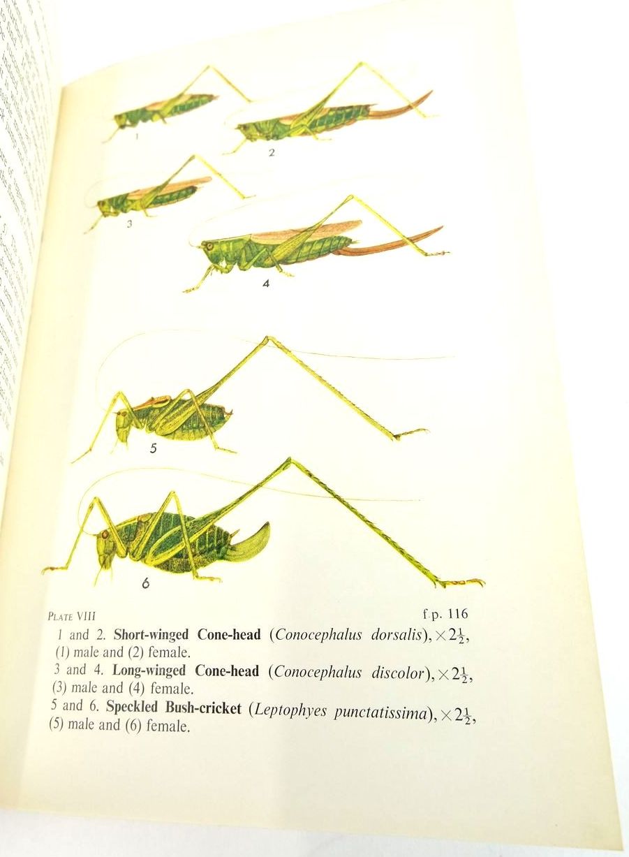 Stella & Rose's Books